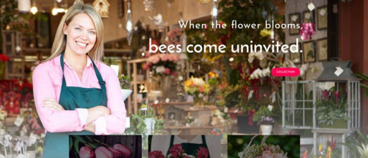 Chaldene – Allegheny Trailrunners